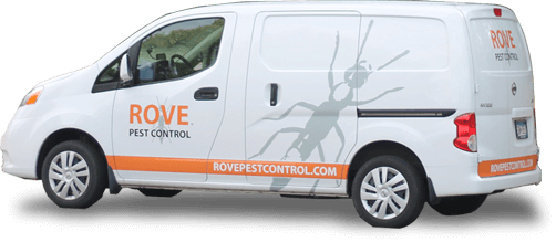 Rove Pest Control : Minnesota Pest Control & Exterminators