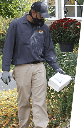 Rove Pest Control : Minnesota Pest Control & Exterminators