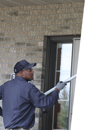 Rove Pest Control : Minnesota Pest Control & Exterminators