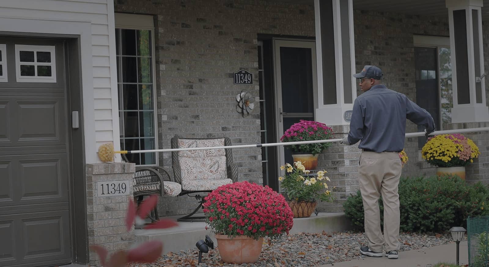 Rove Pest Control : Minnesota Pest Control & Exterminators