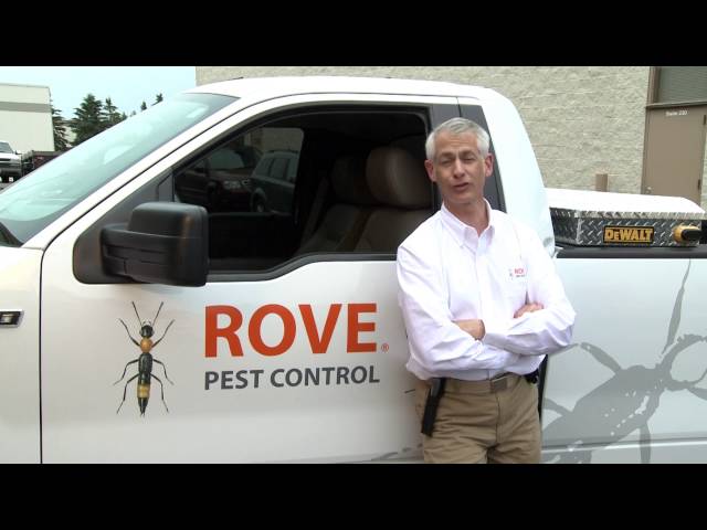 Commercial Pest Control in Minneapolis | Rove Pest Control